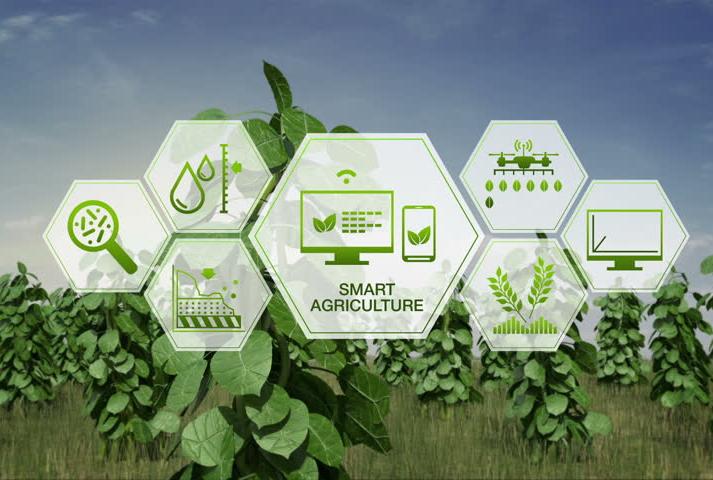 DIGITAL AGRICULTURE IN THE NEXT FIVE YEARS WILL HAVE EXPONENTIAL GROWTH ...