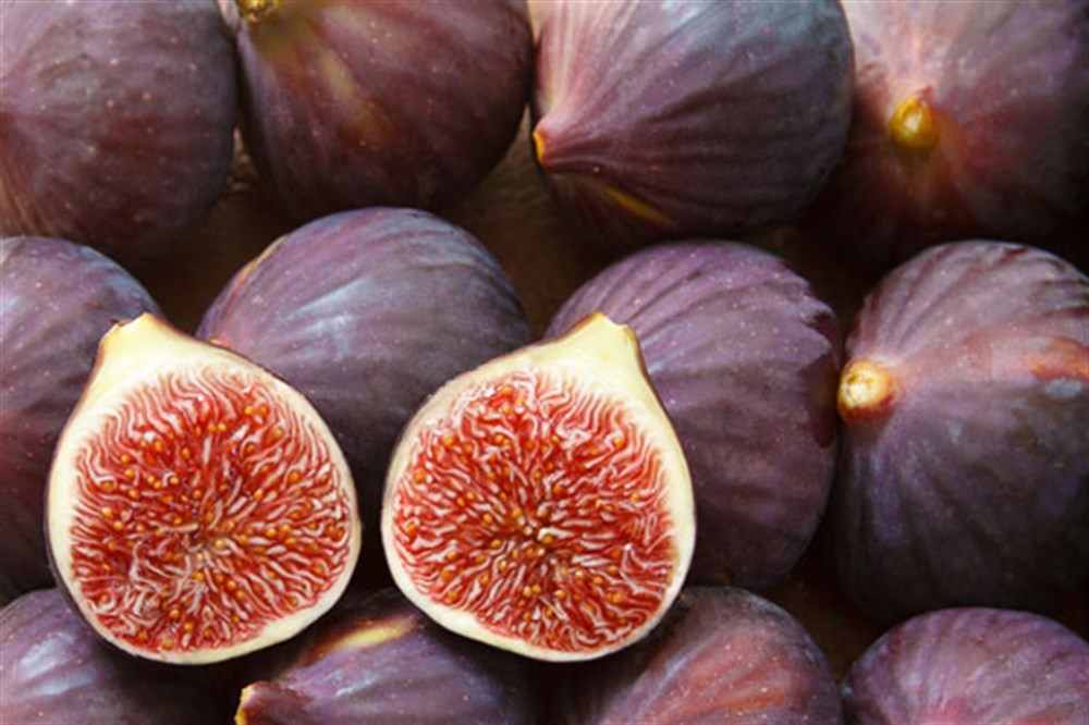 DR. SENİH YAZGAN: MARKETING POWER OF BURSA BLACK FIG WILL BE ENHANCED ...