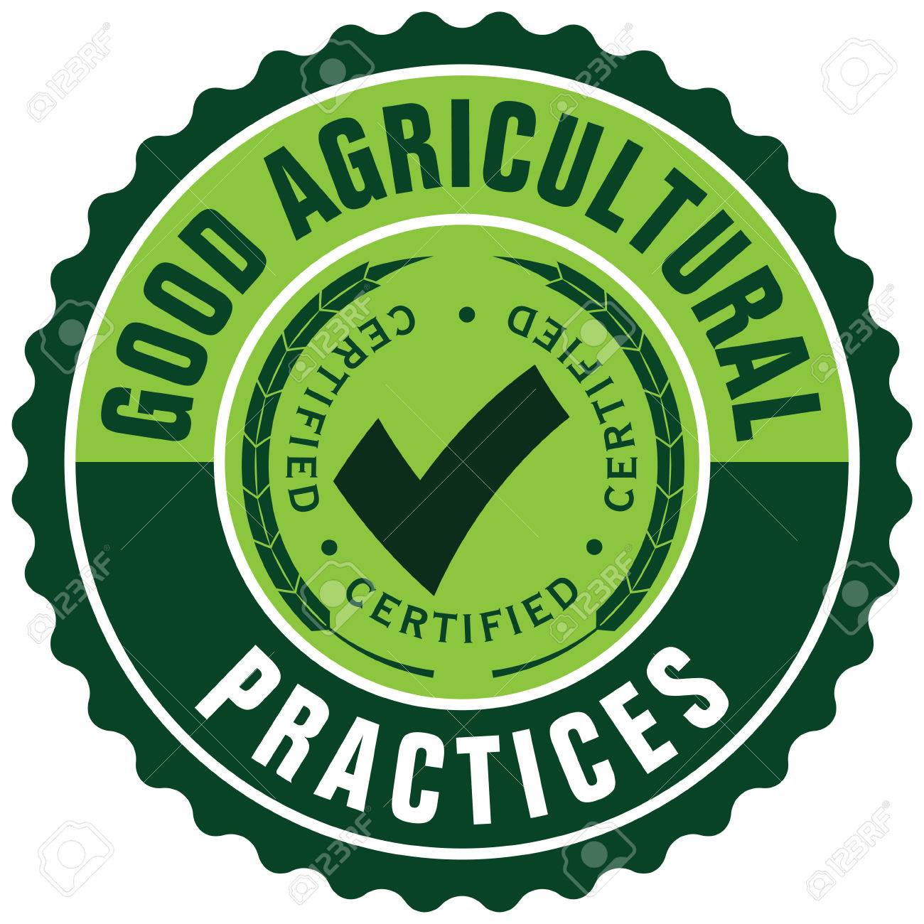 “EVERY STAGE OF PRODUCTION IS UNDER CONTROL THANKS TO GOOD AGRICULTURAL ...