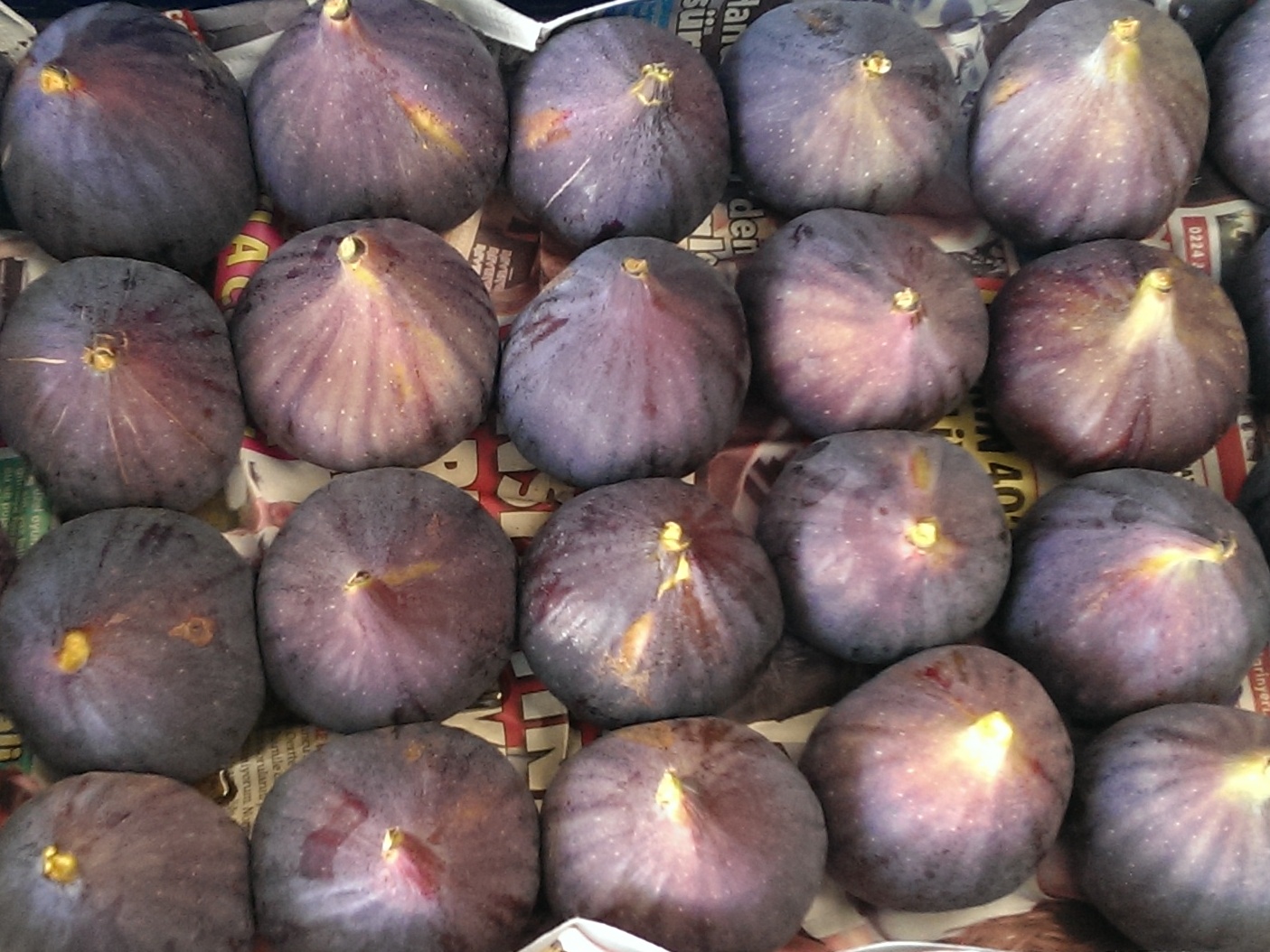 HAYRETTİN UÇAK: OUR EXPORT TARGET IN FRESH FIGS IS 75 MILLION DOLLARS ...