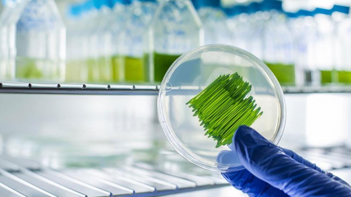 LARGE-SCALE PRODUCTION STARTS IN THE INDEPENDENT PROJECT… – THE GLOBAL ...