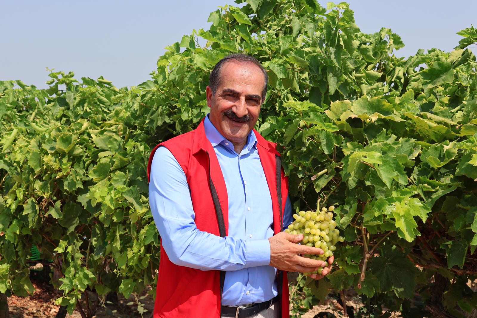 200 HUNDRED MILLION DOLLARS TO BE SURPASSED IN FRESH GRAPES! – THE ...