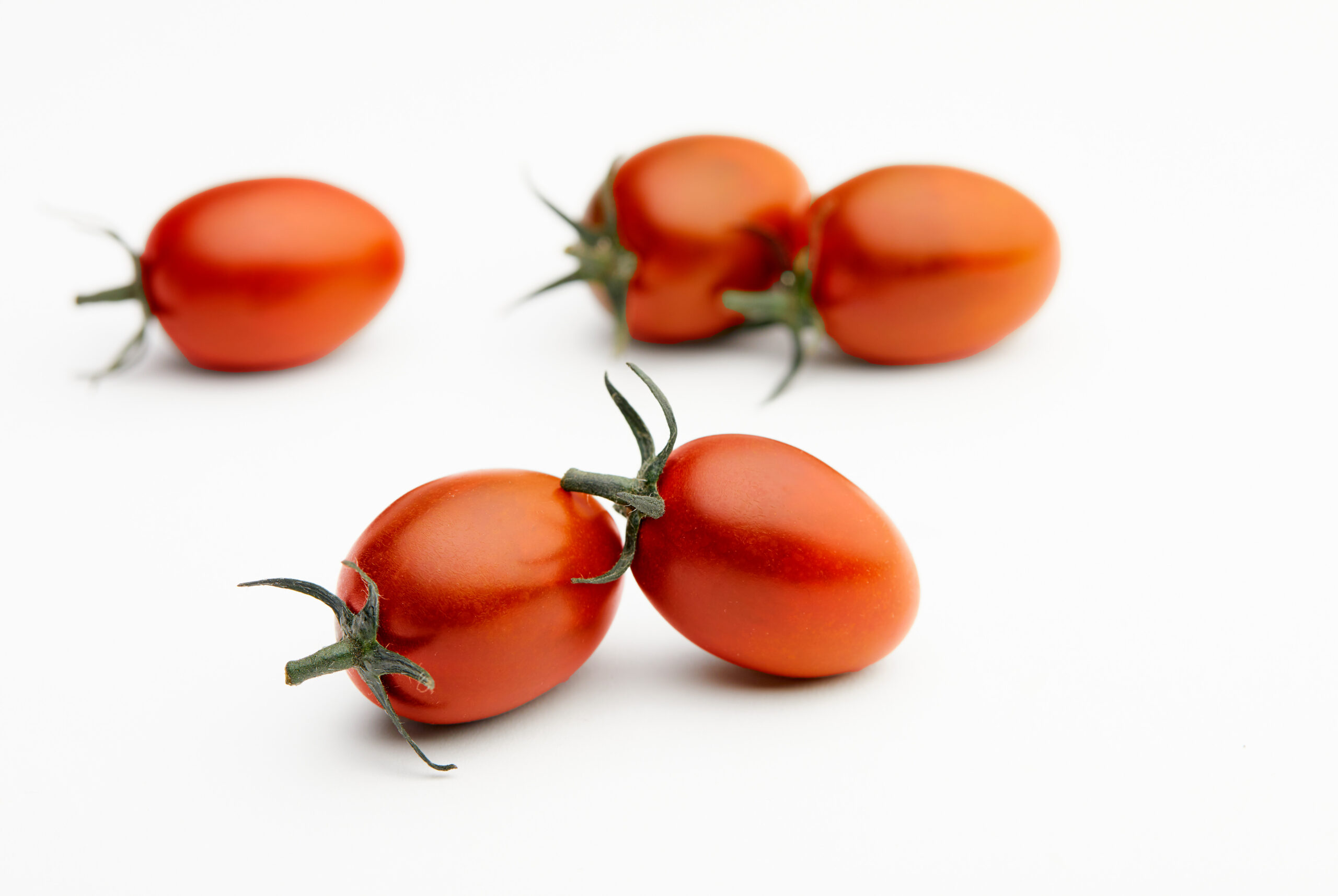 TASTE TOMATOES FROM BREEDX… – THE GLOBAL WINDOW OF TURKISH FOOD AND ...