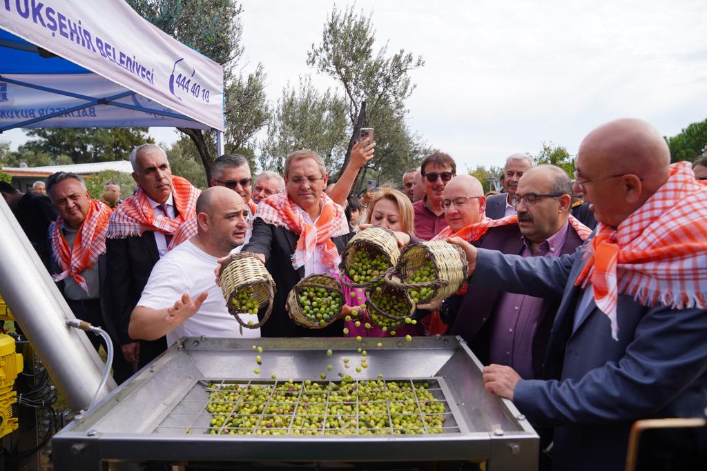 FIRST HARVEST AND OLIVE OIL PRESSING IN AYVALIK… – THE GLOBAL WINDOW OF ...