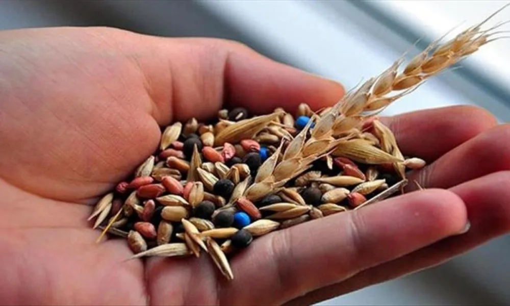 SEED INDUSTRY TURNS TOWARDS THE BALKAN COUNTRIES… – THE GLOBAL WINDOW ...