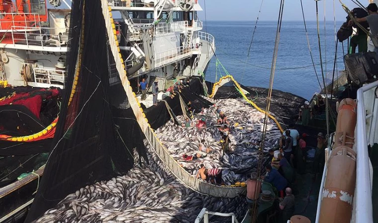 TURKISH FISHERMEN FISHING IN THE OCEANS! – THE GLOBAL WINDOW OF TURKISH ...