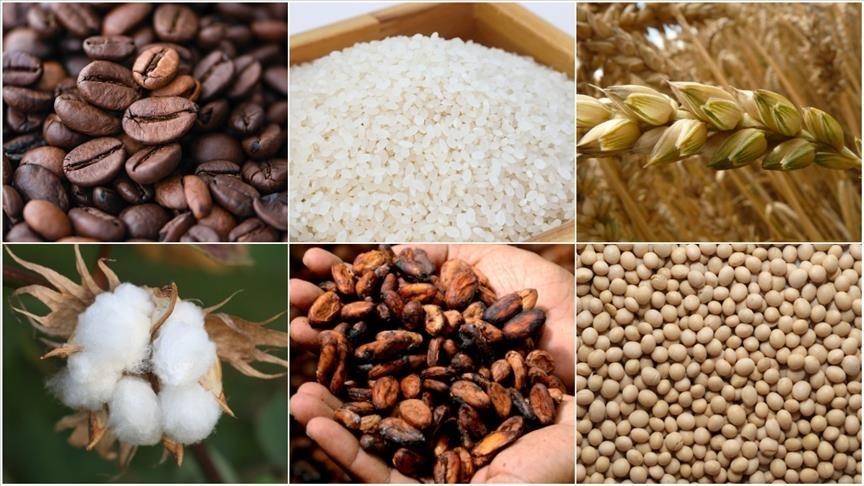 Agricultural commodity markets remain mixed in first weeks of 2024 ...