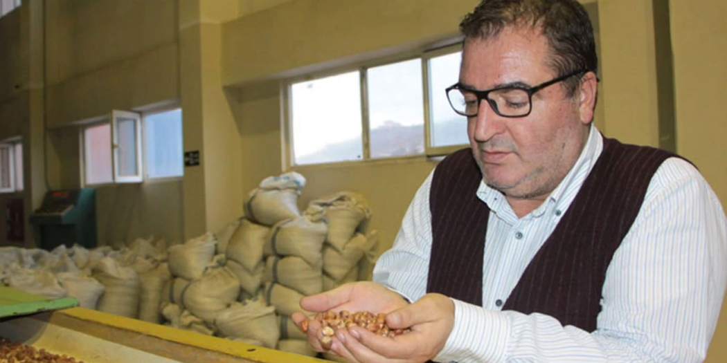 Hazelnut exports continue at full speed in 2025! – THE GLOBAL WINDOW OF ...