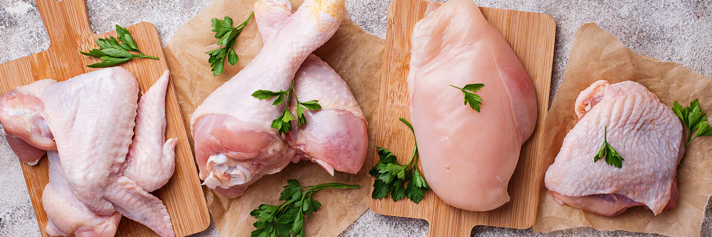 Naci Kaplan: Poultry meat production reached 2 million 565 thousand ...