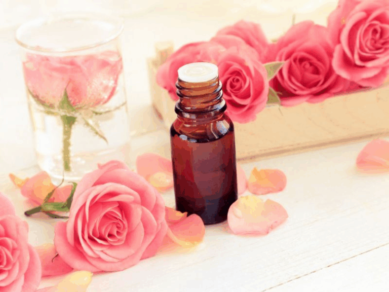 Frost hits rose harvest in Isparta, yield drops 30 percent! – THE ...